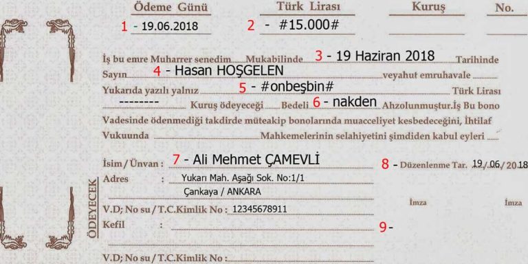 Senet Nasıl Doldurulur? Senet Düzenleme Örnekleri | Paratic