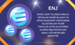 Enjin Coin (ENJ) Nedir? Enjin Coin Hakkında Bilgiler | Paratic