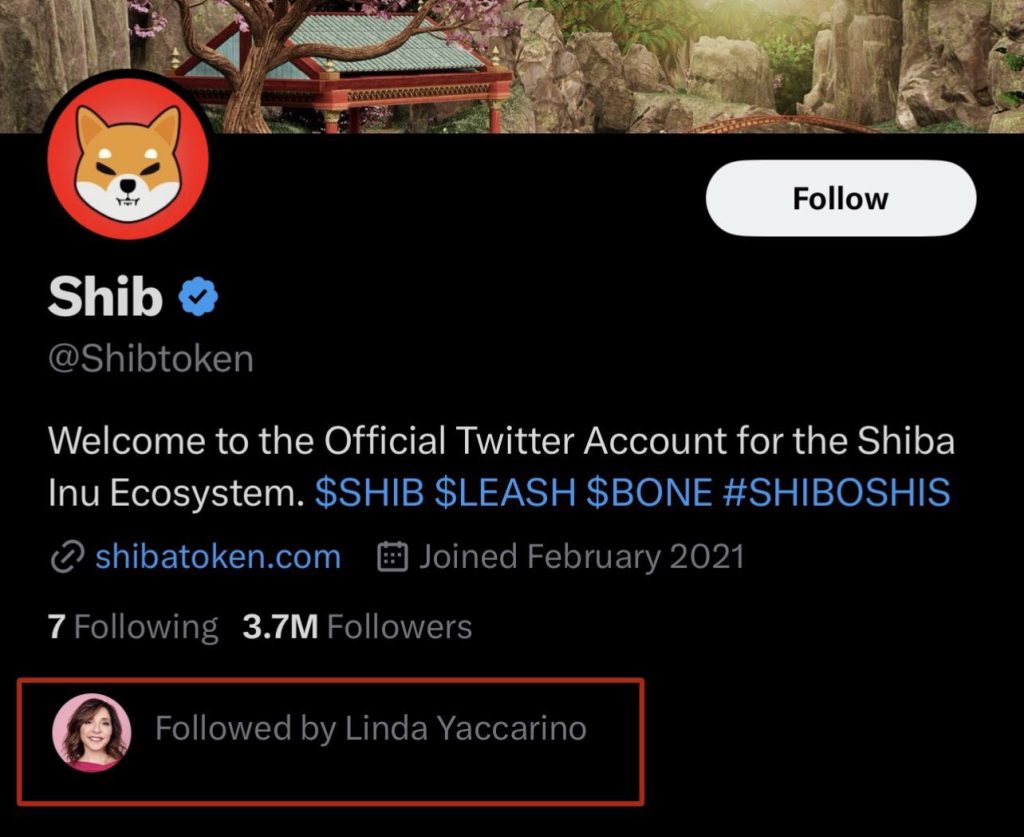 Yeni Twitter CEO'su SHIB'in Kaderini Değiştirebilir! İlginç Gerçek ...