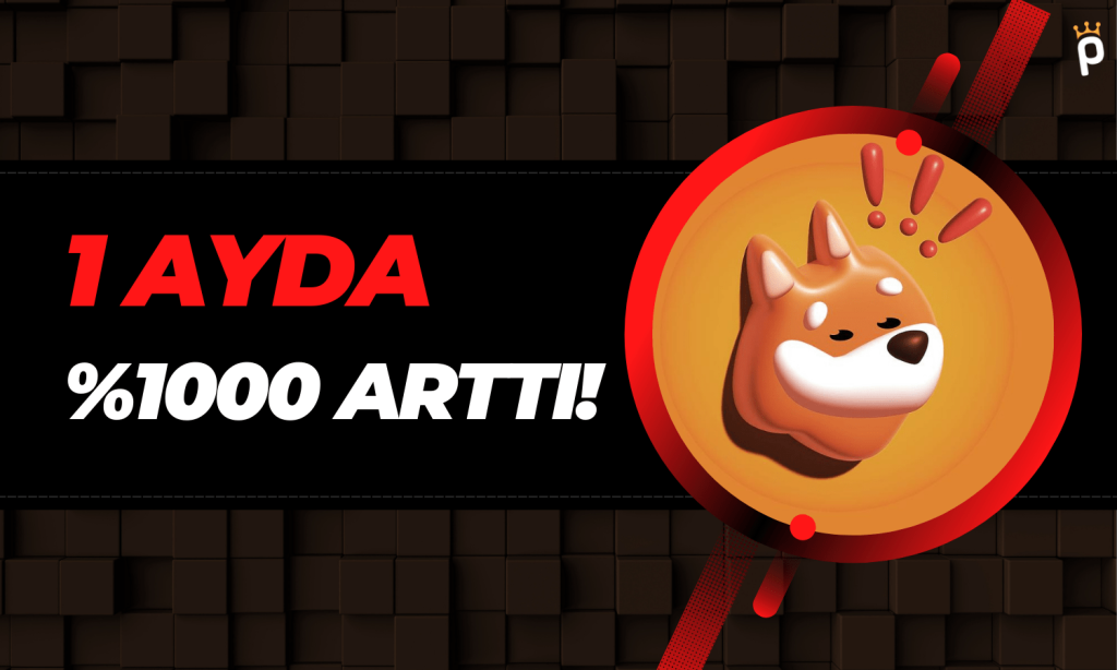 Meme Coin 1 Ayda Yüzde 1000 Arttı! BTC'yi 16'ya Katladı | Paratic