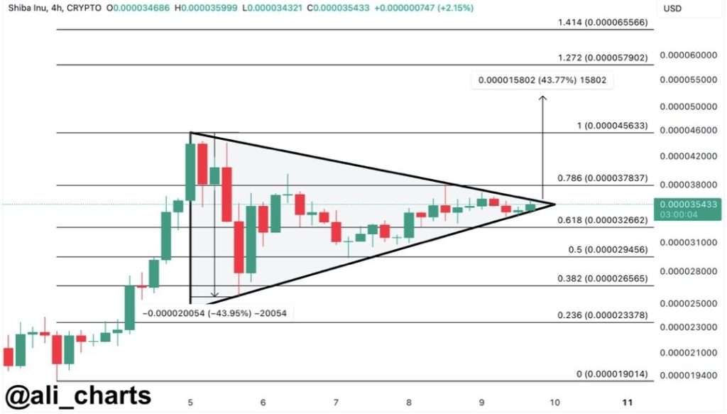 DOGE, PEPE, FLOKI Değil! Herkes Bu Meme Coini Arıyor! | Paratic