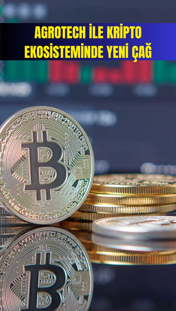 Vet Coin Nedir? Vet Coin Geleceği | Paratic
