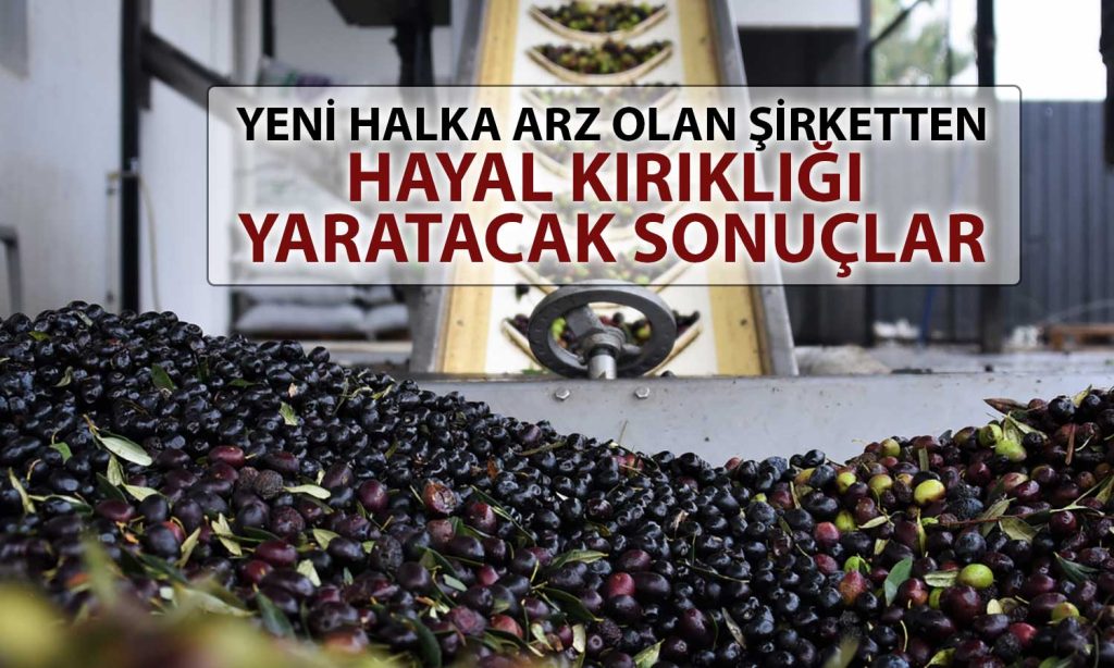 Halka Arz Olan CEMZY’nin Net Karı Yüzde 90’a Yakın Düştü | Paratic