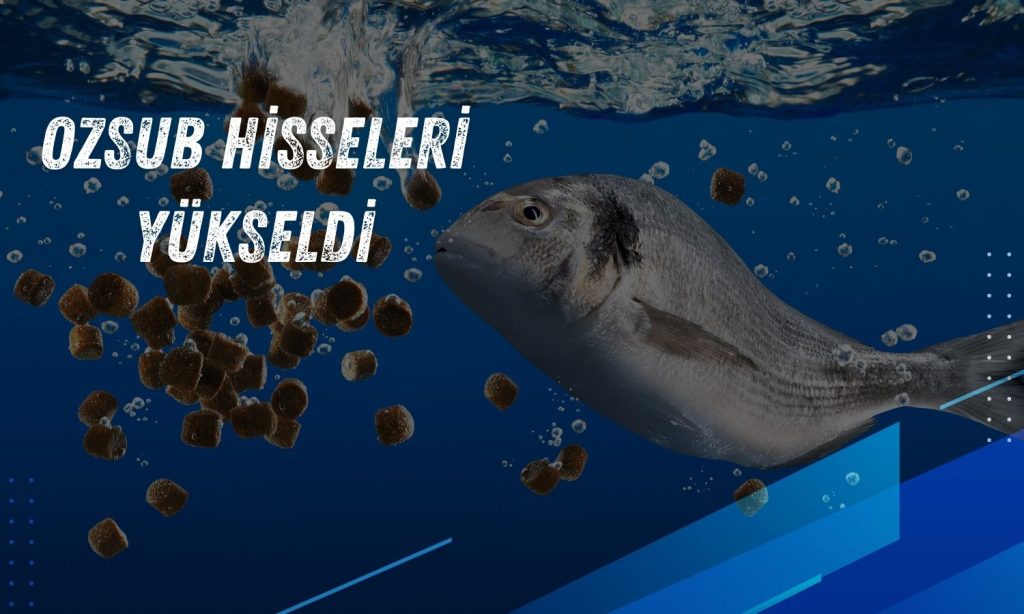 Özsu Balık (OZSUB): Su ürünleri belgesi için süreç tamamlandı | Paratic