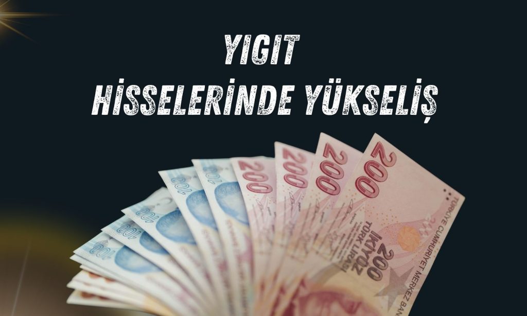 Yiğit Akü (YIGIT) hisseleri gayrimenkul alımıyla sert yükseldi | Paratic