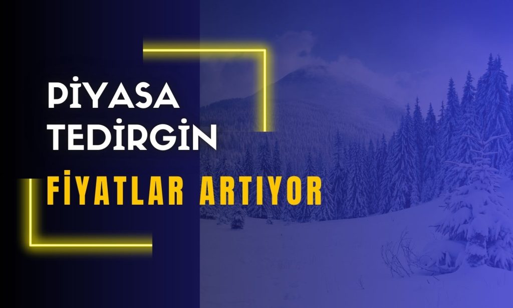 Doğal gaz ve petrol soğuk hava-yaptırım etkisiyle sert yükseldi | Paratic
